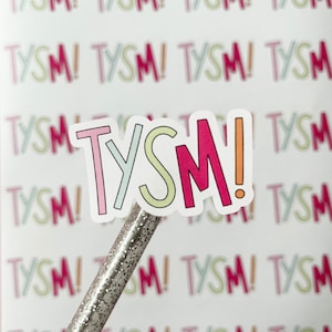 TYSM Sticker Sheet, Thank You Packaging Stickers, Colorful Die-cut ...