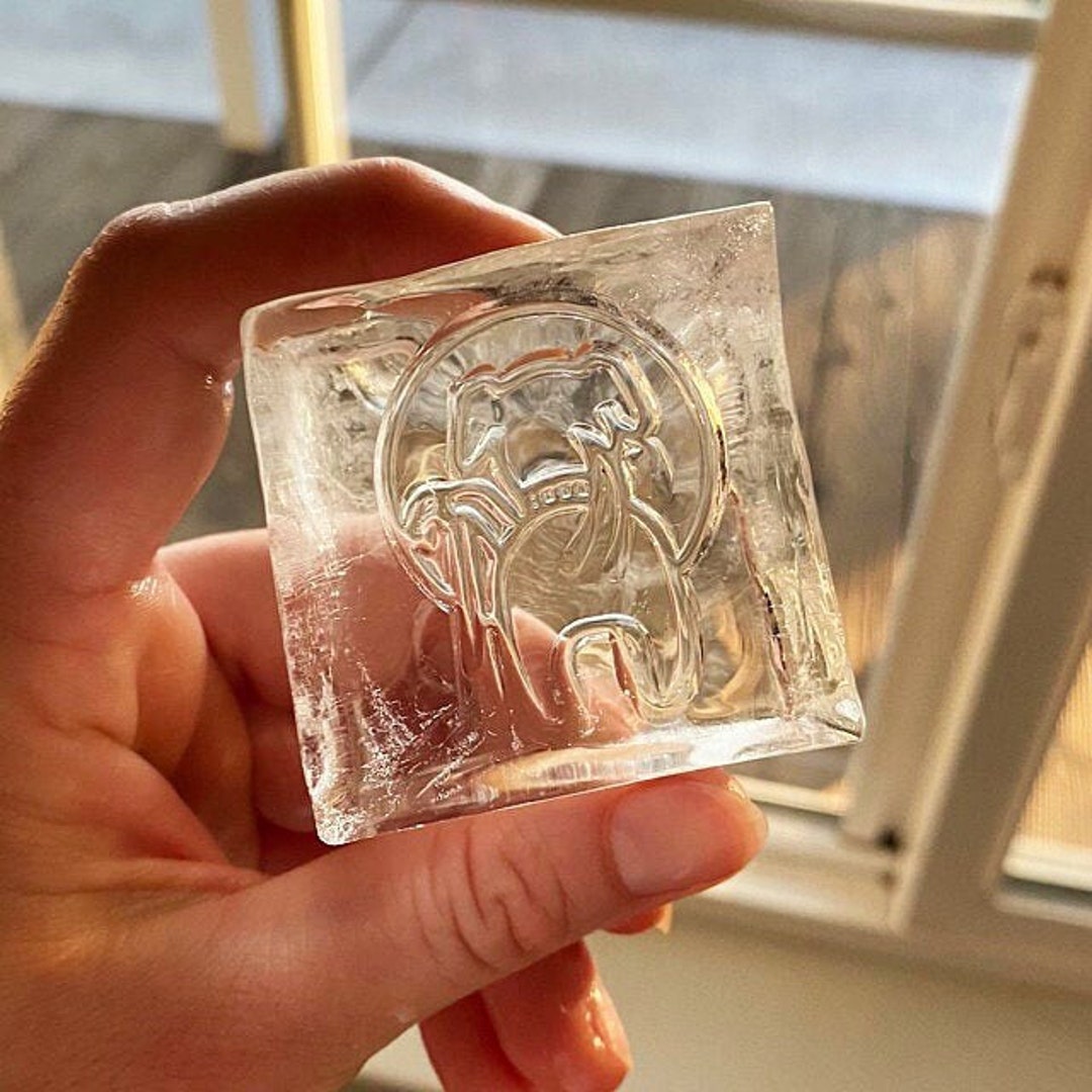 Custom Ice Stamp Personalized Ice Cube Stamp Personalized Ice Stamp ...