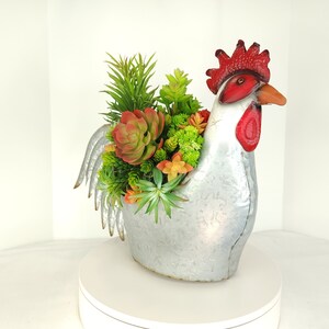 Galvanized Chicken Planter of Faux Succulents, Country Rooster Table ...