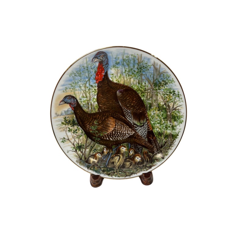 Vintage Southern Living Gallery Game Birds of the South Plate Wild ...