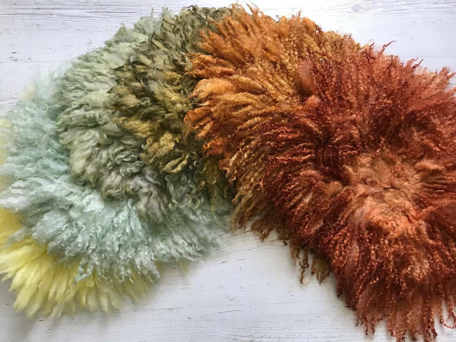 Felted Newborn Props for Photoshot Curly Round Felted Blanket - Etsy