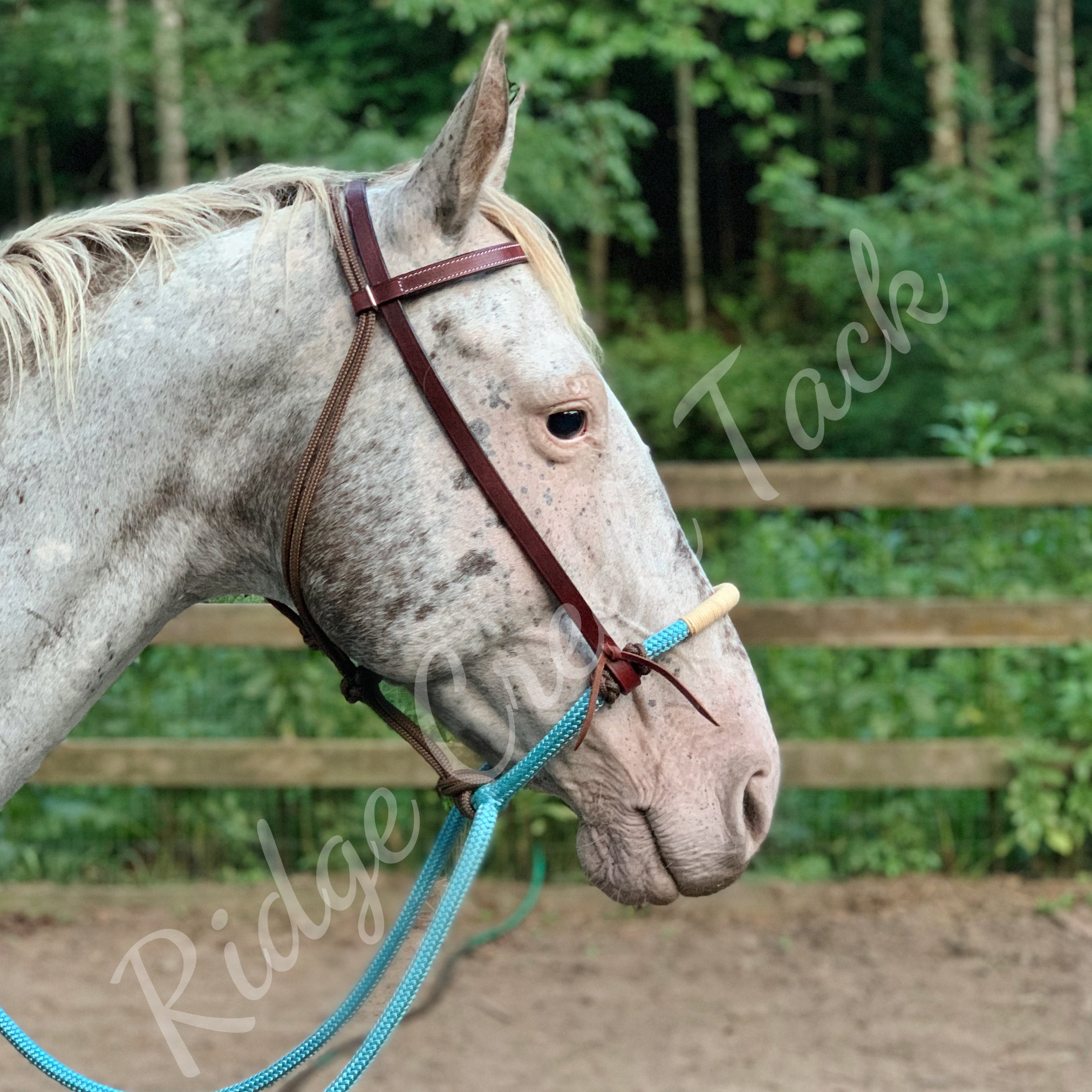 Soft Nose Wrapped Loping Hackamore - Etsy