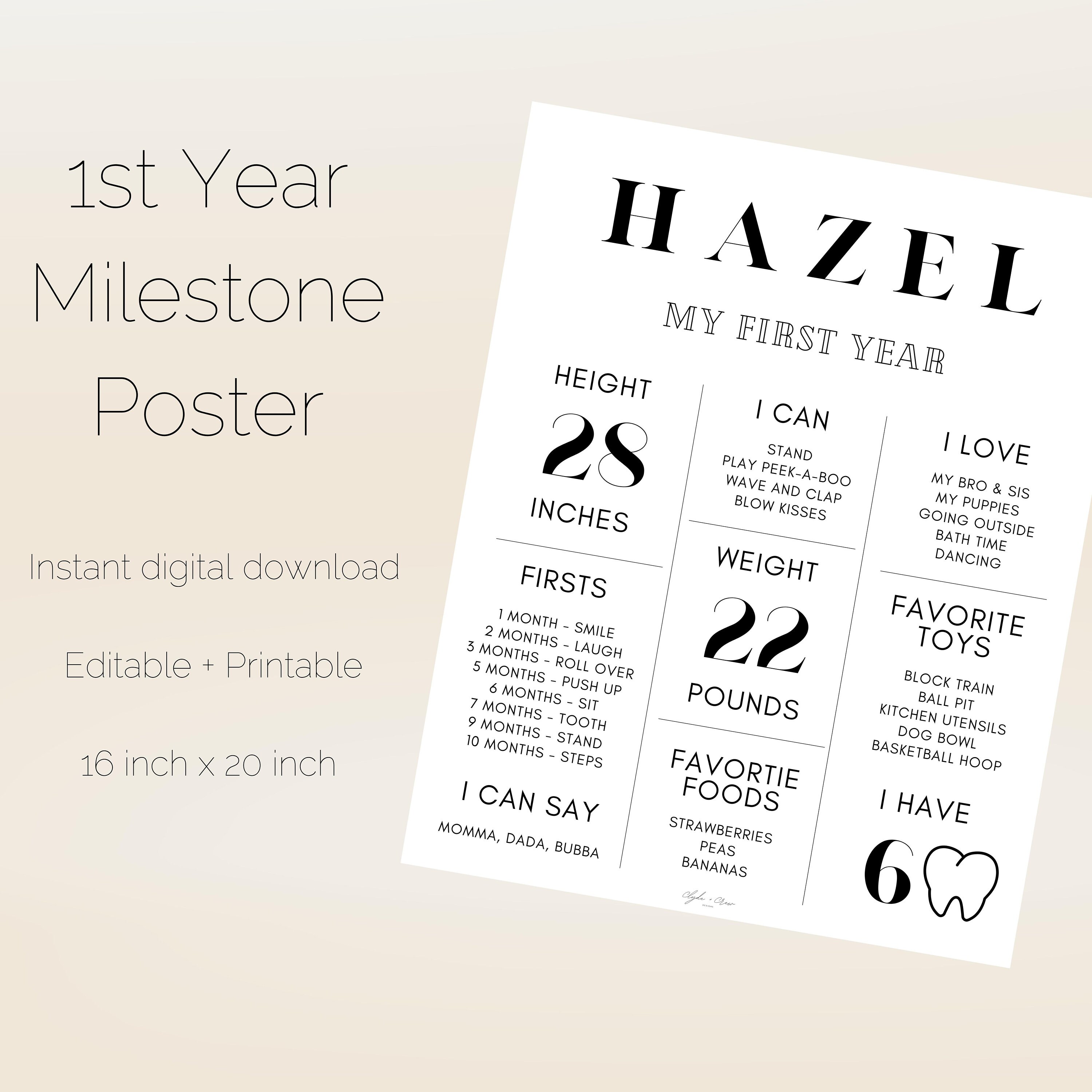 Birthday Milestone Board Template | 1st Birthday | Baby Milestone ...