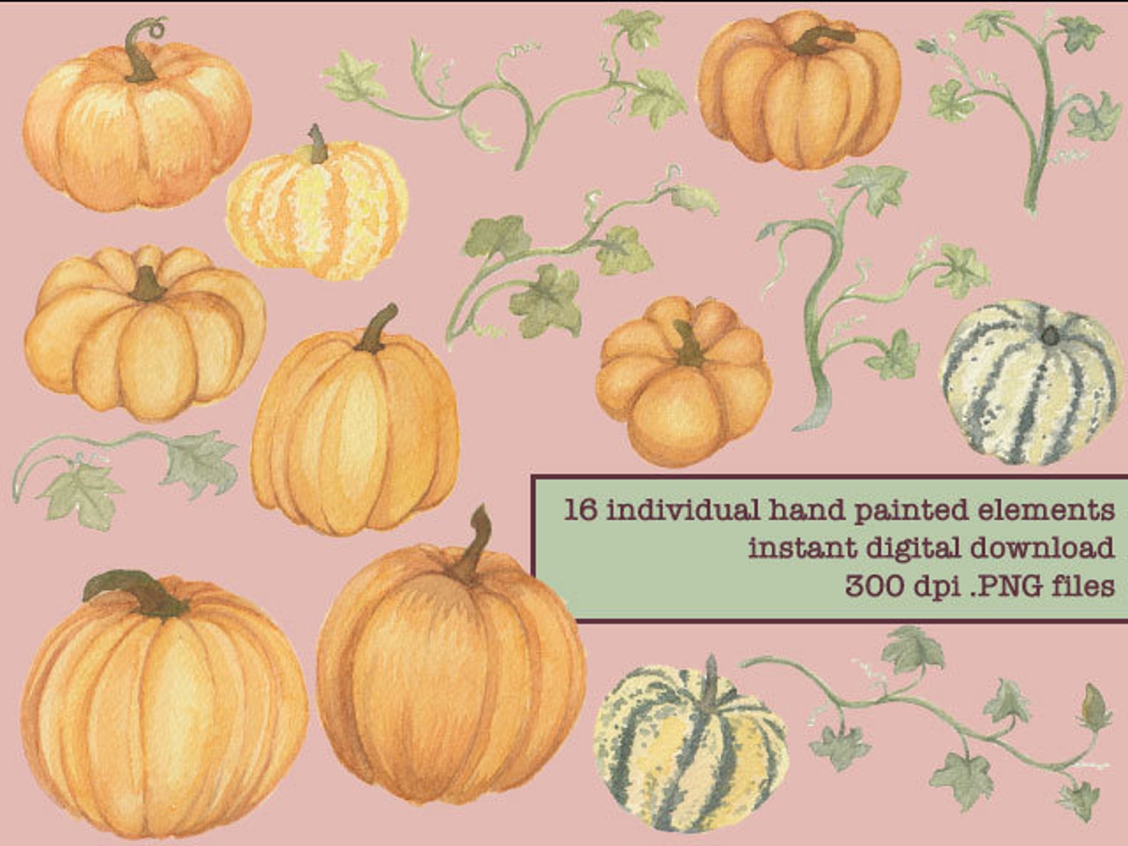 Watercolor DIGITAL CLIP ART-- Pumpkin 16pc Set, Hand Painted, Vector ...