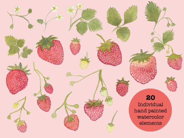 Watercolor DIGITAL CLIP ART-- Strawberry 20pc Set, Hand Painted, Vector ...