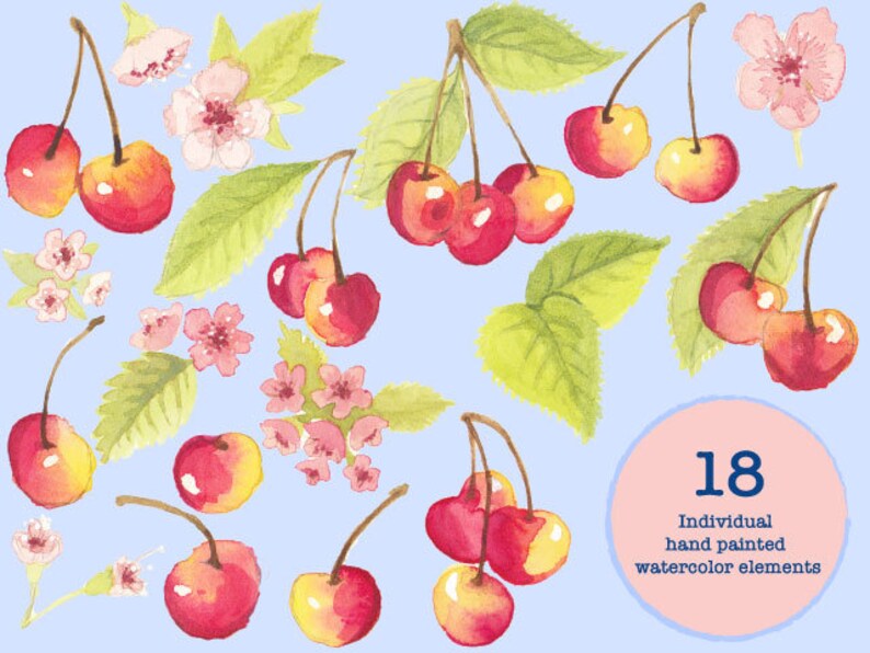 Watercolor DIGITAL CLIP ART - 18pc Set Cherry, Cherry Blossom, Cherry ...