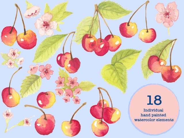 Watercolor DIGITAL CLIP ART - 18pc Set Cherry, Cherry Blossom, Cherry ...