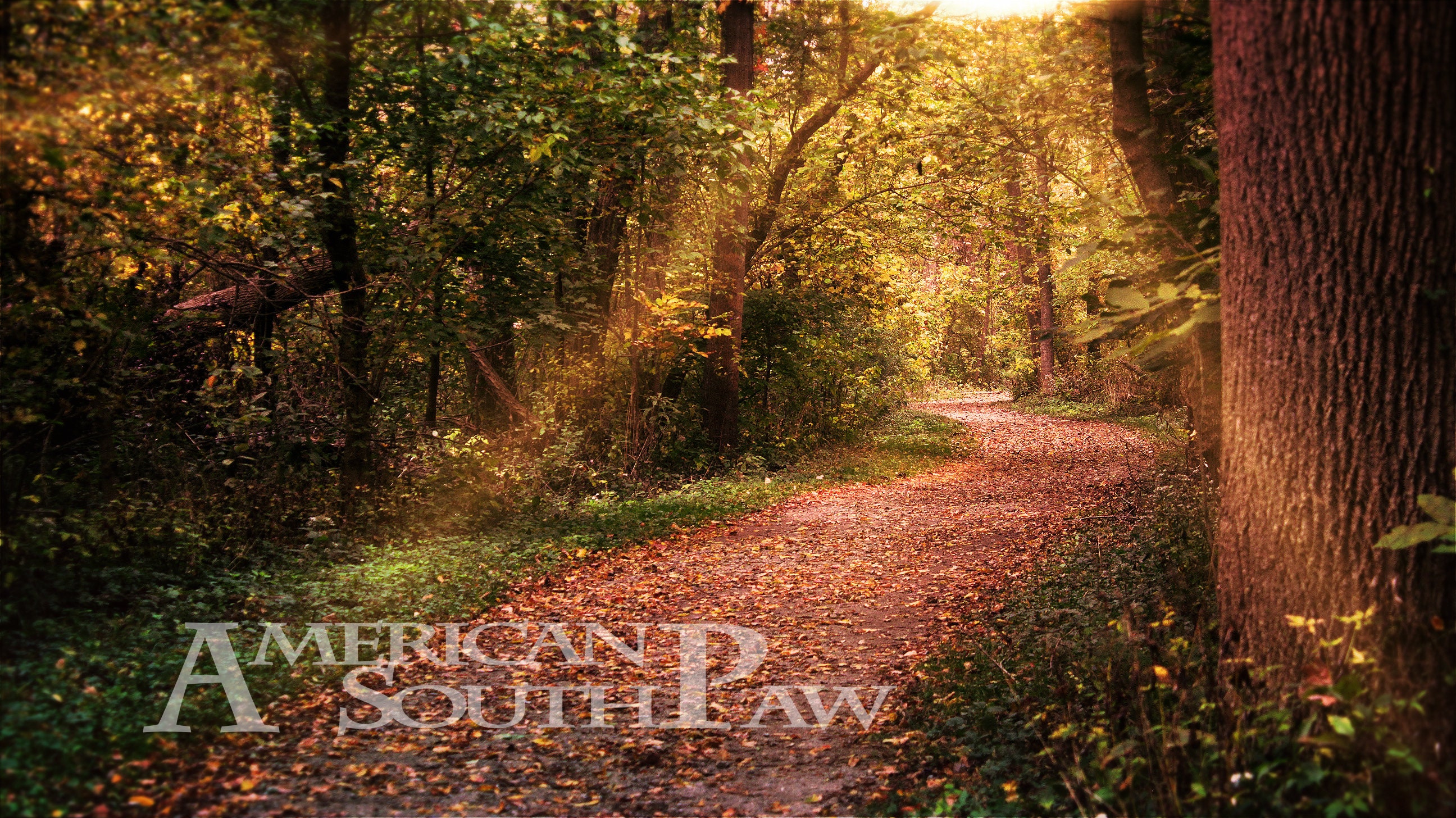 Fall Golden Hour Background | Autumn Overlay | Fantasy Forest Trail ...