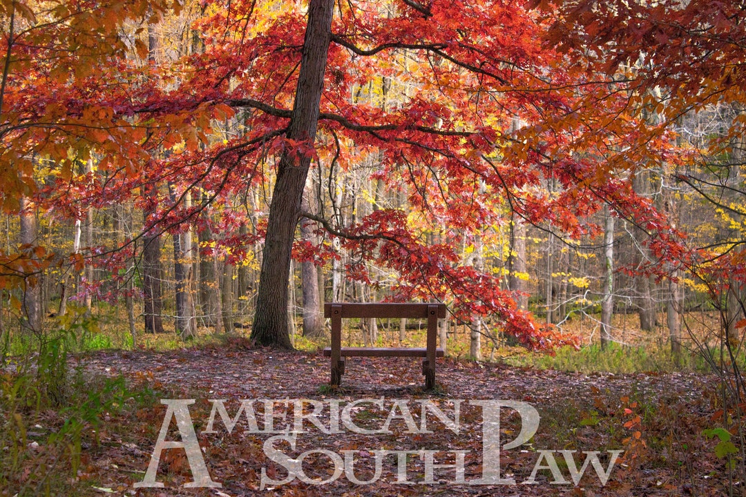 Fall Bench Photoshop Background | Autumn Background : Halloween ...