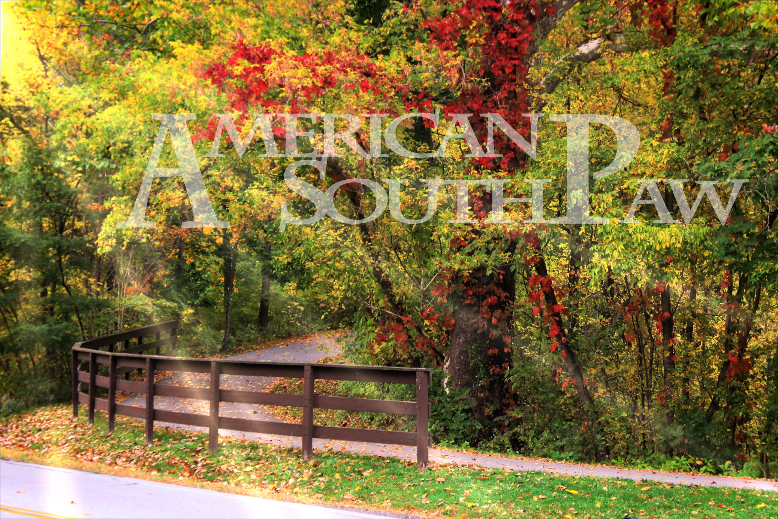 Fall Background Light Ray | Autumn Overlay | Forest Fence / Fence Trail ...