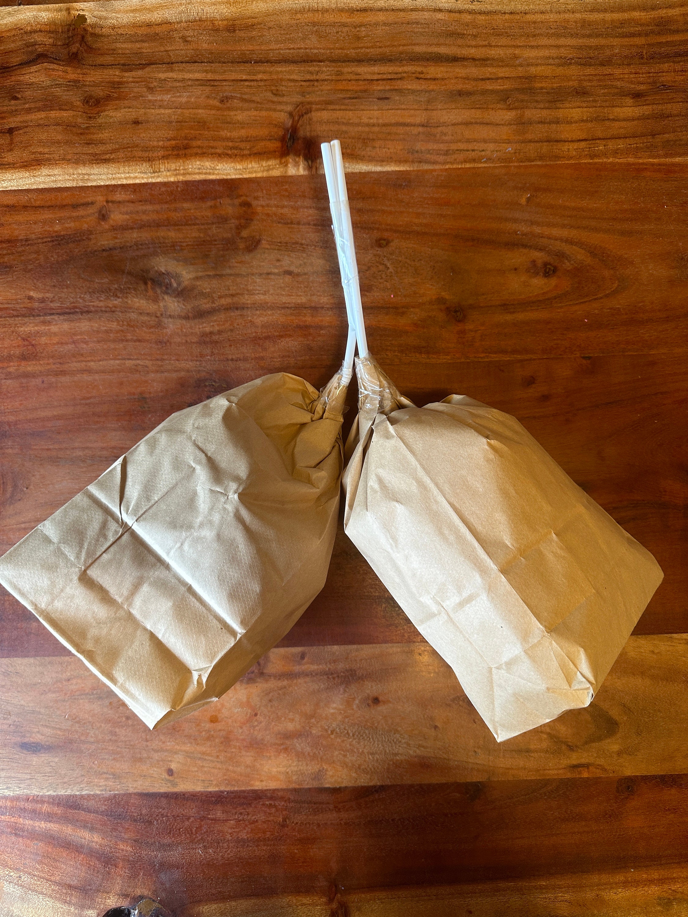 My Body Preschool Activity Kit Printable Lessons Anatomy - Etsy