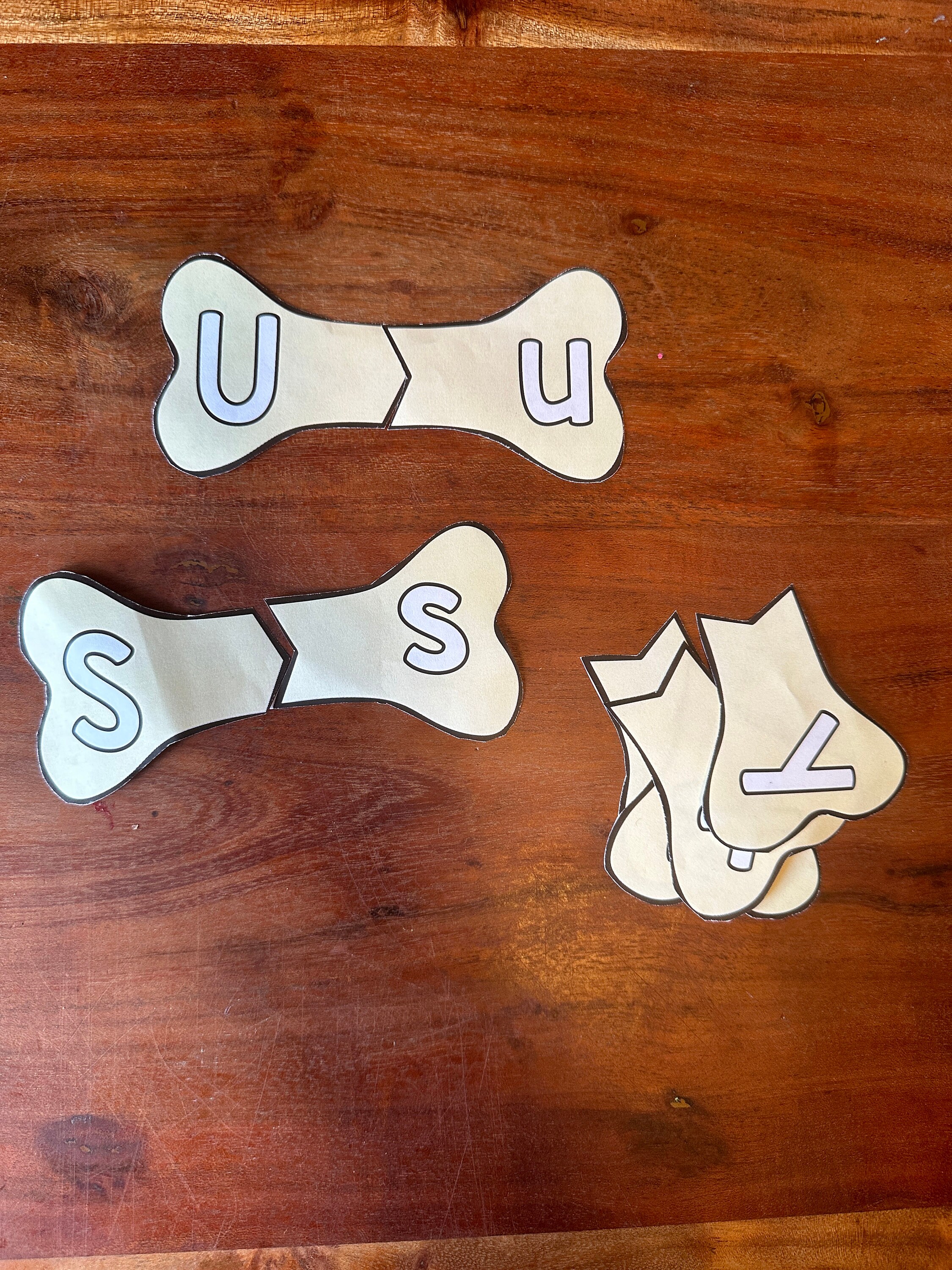 My Body Preschool Activity Kit Printable Lessons Anatomy - Etsy