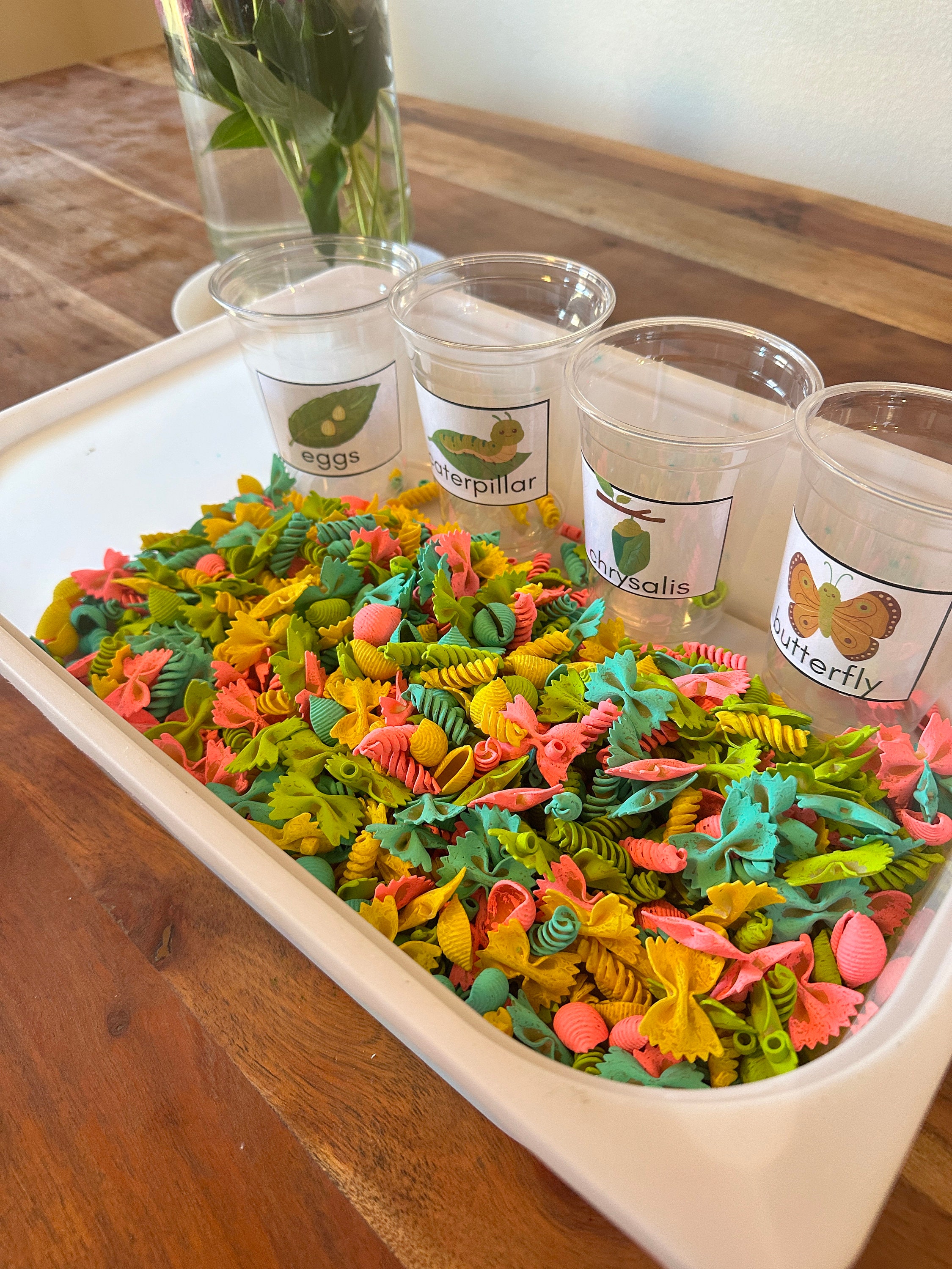 Butterfly Lifecycle Sensory Mix | Pasta Play Mix | Sensory Bin Filler ...