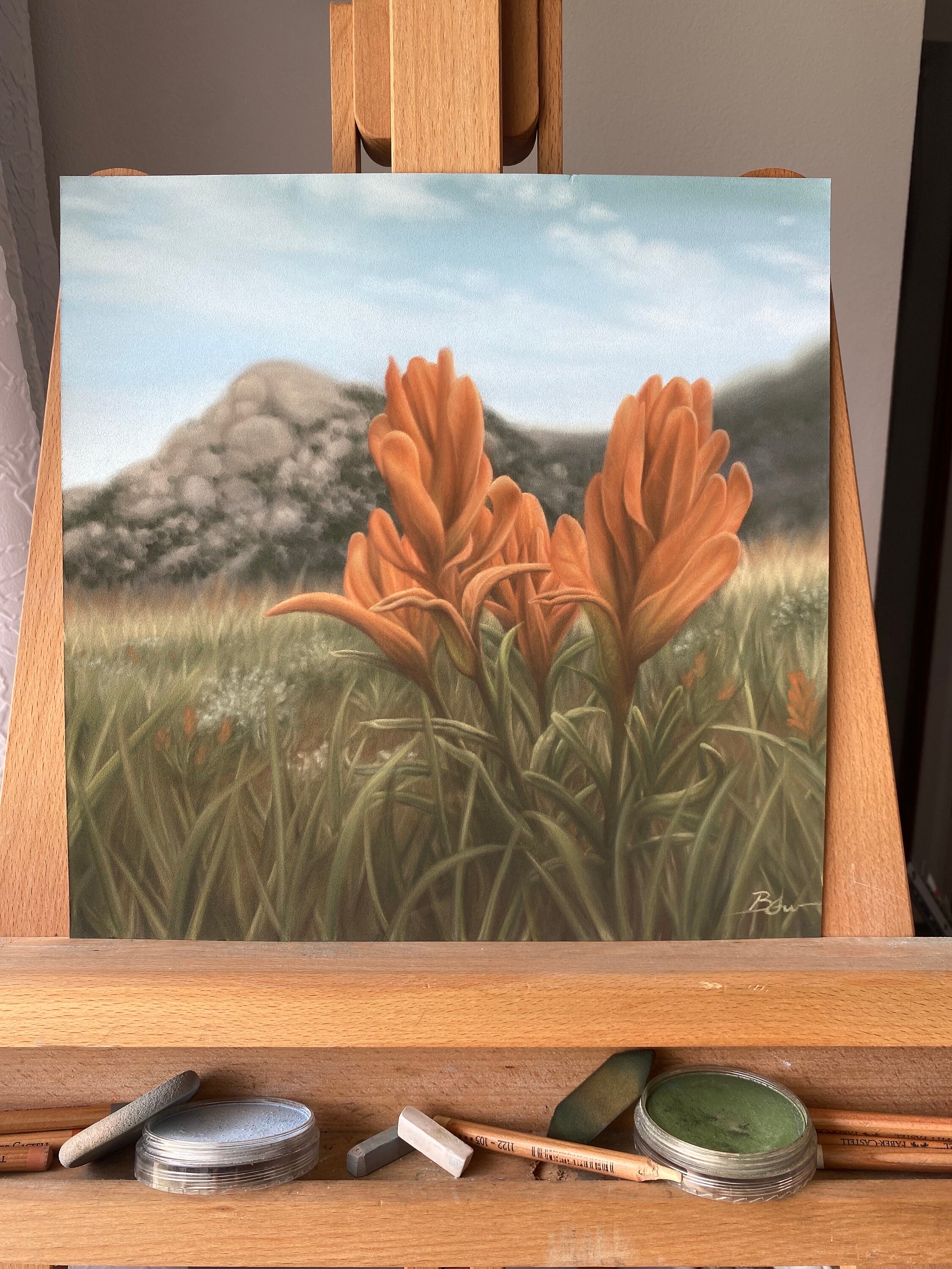 Indian Paintbrush Print - Etsy