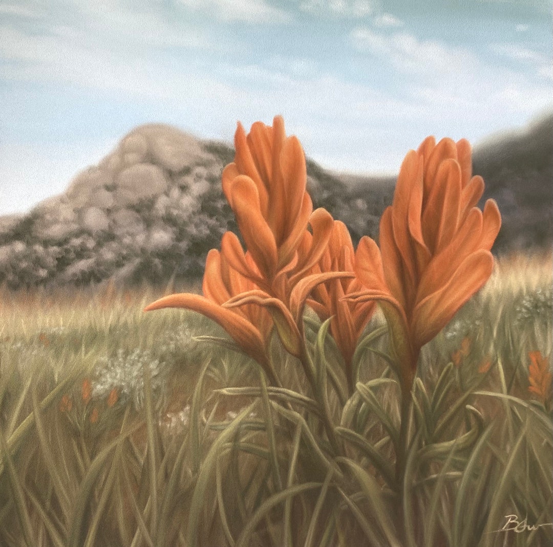 Indian Paintbrush Print - Etsy