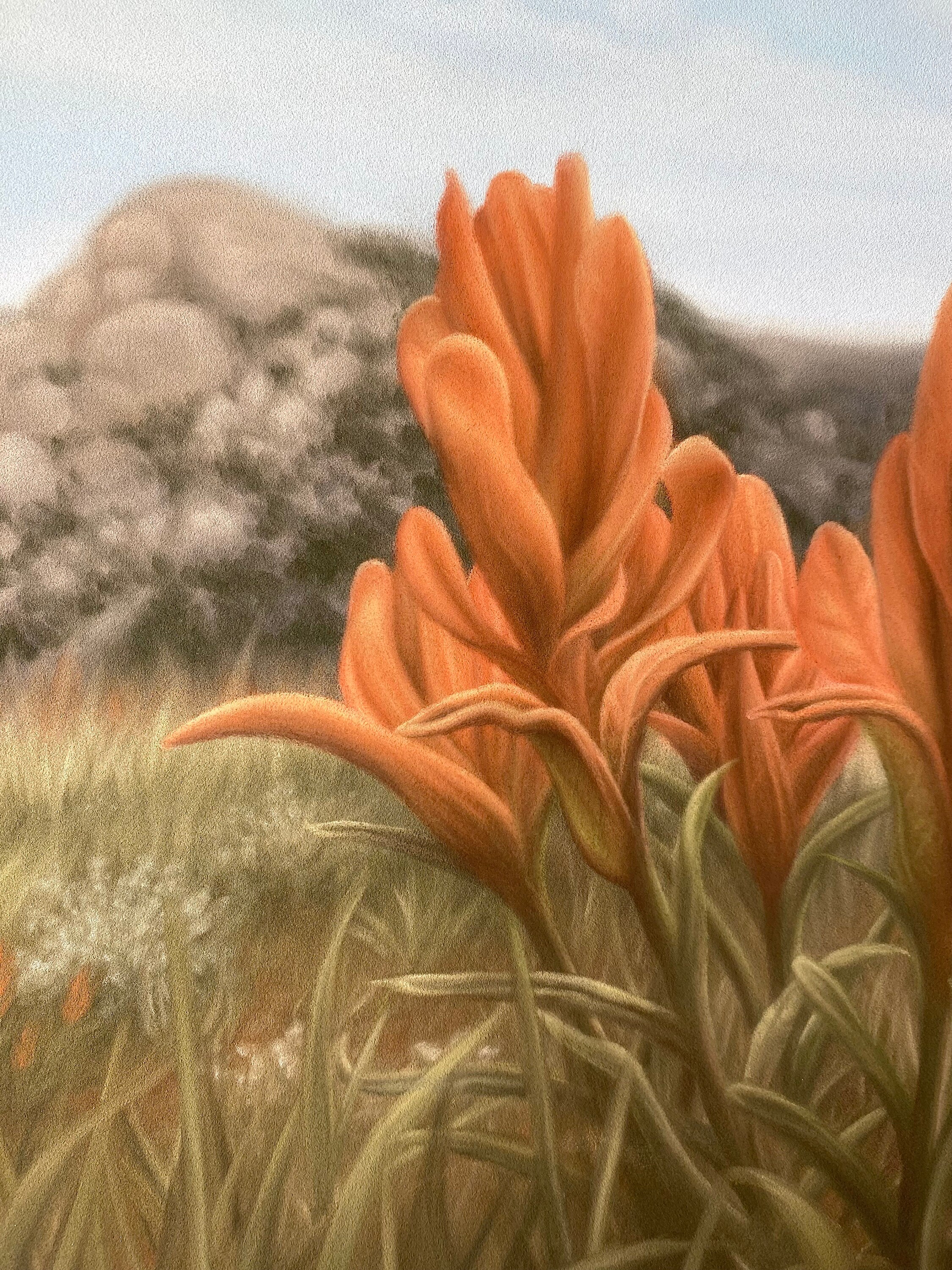 Indian Paintbrush Print - Etsy