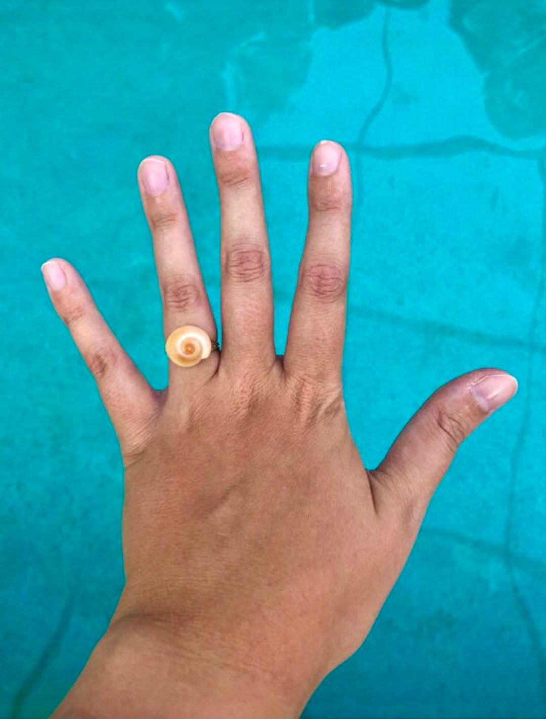 Shark’s Eye Shell Ring - Etsy