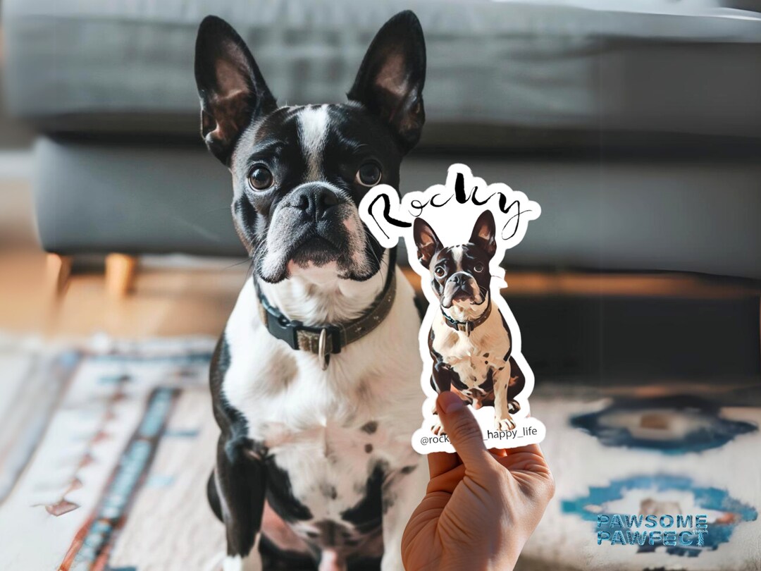 Custom Pet Sticker Using Your Pet Photo Custom Dog Sticker Custom Cat ...