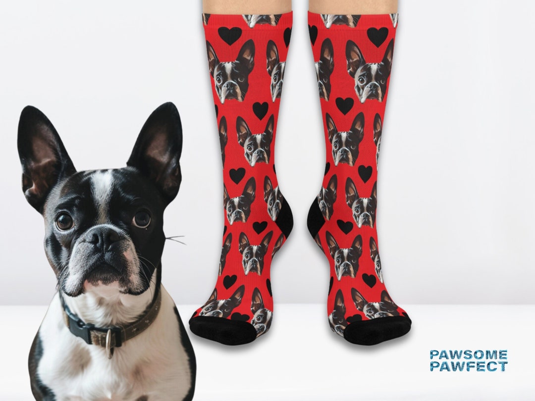 Custom Pet Socks Customized Socks With Any Photo and Text Personalized ...