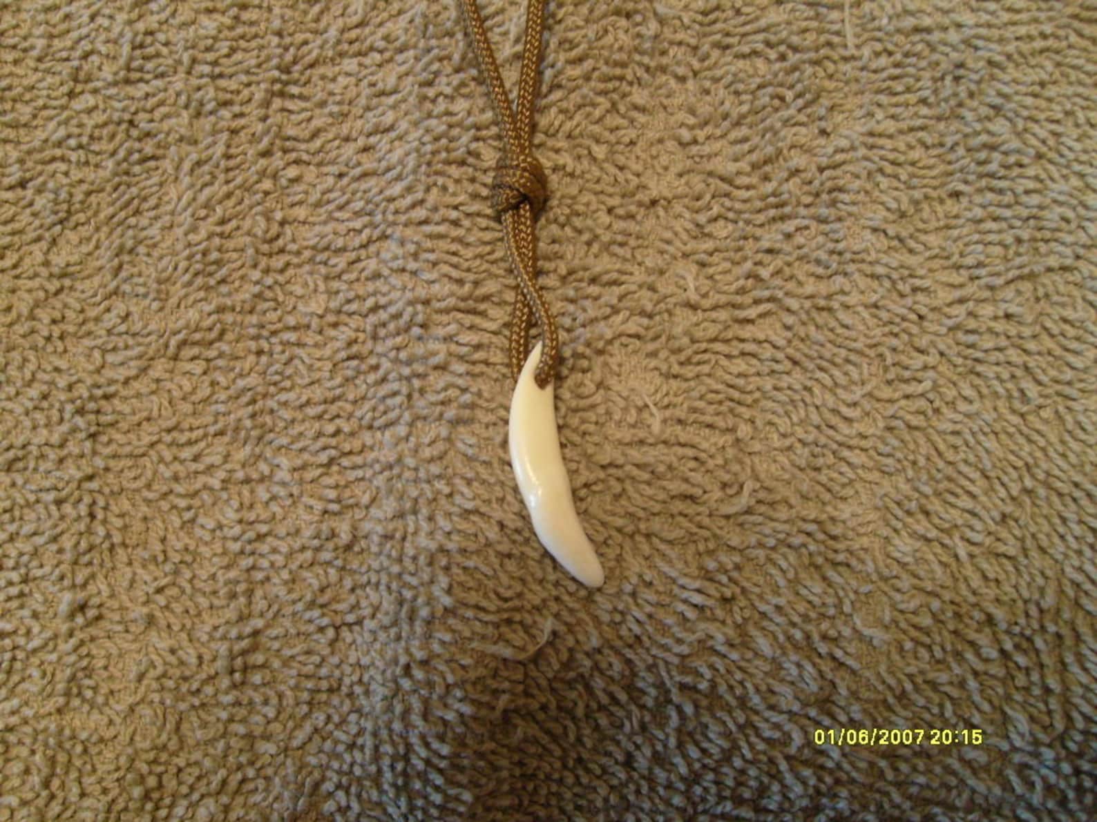 Coyote Tooth Pendant Necklace Coyote Brown Necklace handmade | Etsy