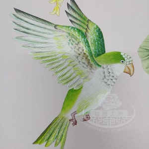 20 X 28 Chinoiserie Handpainted Parrot on Custom Color Hand Dyed Pink ...