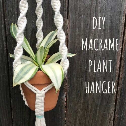 Macrame Plant Hanger Tutorial DIY Houseplant Holder Learn to - Etsy