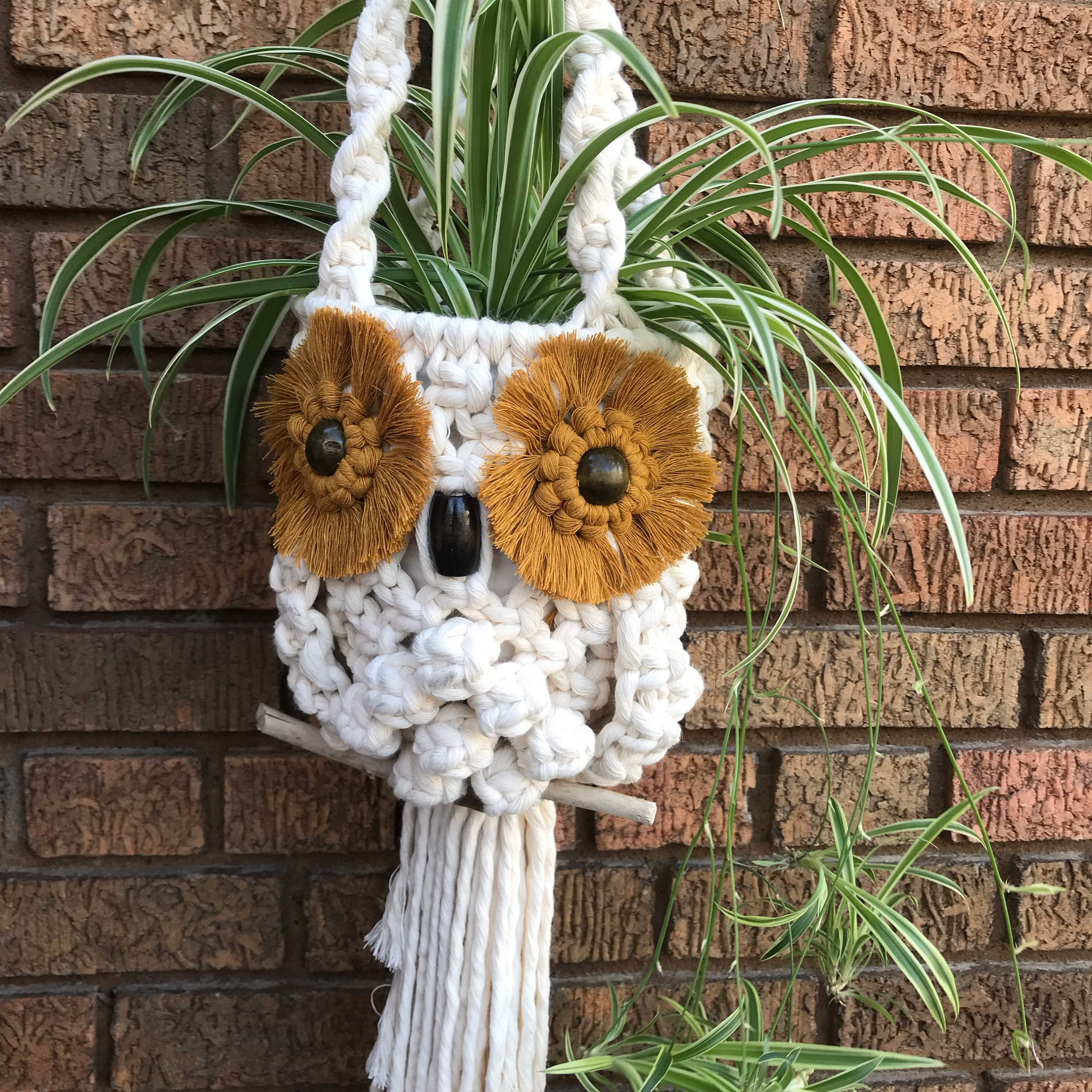 DIY MACRAME OWL Plant Hanger Pattern Owl Plant Holder Photo - Etsy