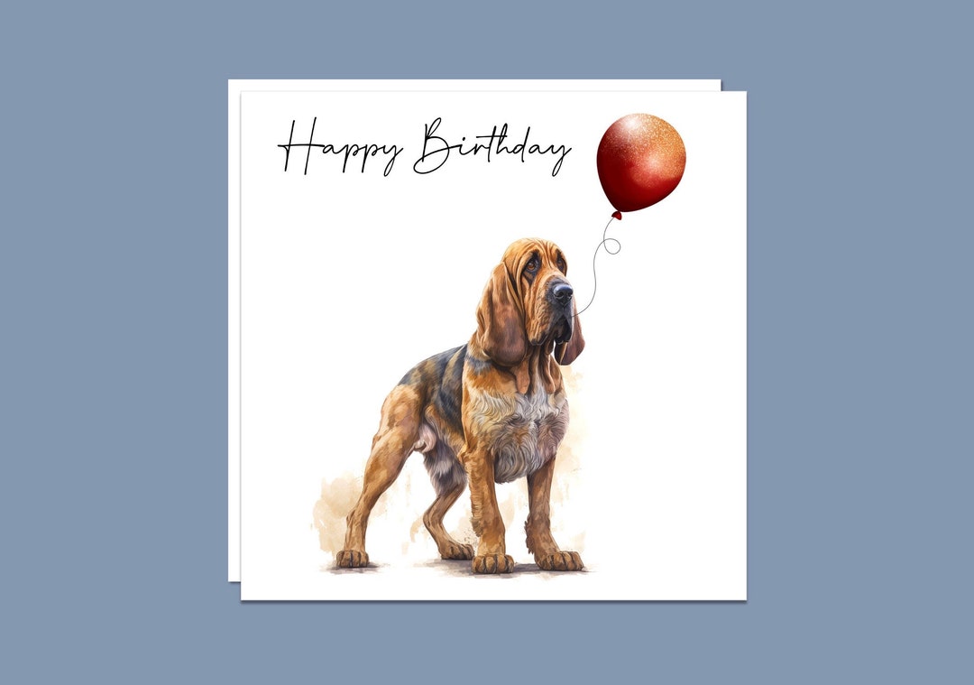 Happy Birthday Dog Lover Greeting Card Bloodhound Dog. Can Be - Etsy UK