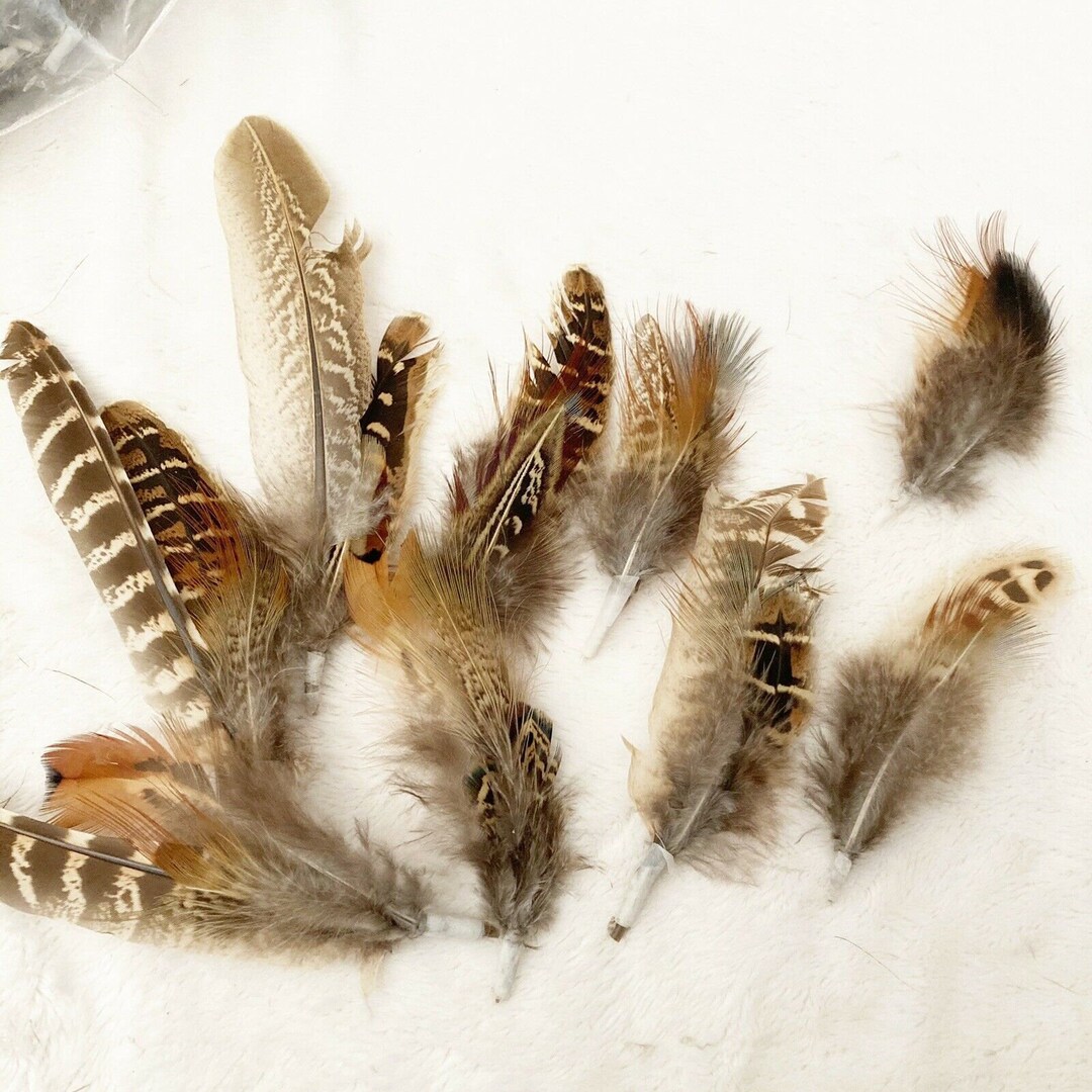 Plumas de faisán 35 Paquetes para la elaboración o volar atando - Etsy ...