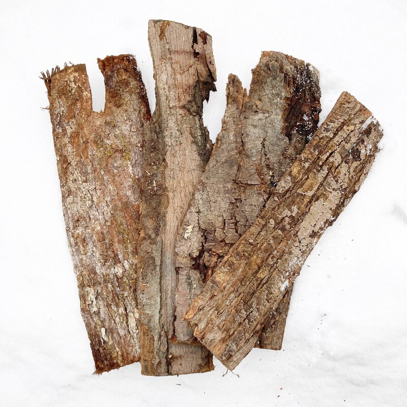 Bark - Etsy