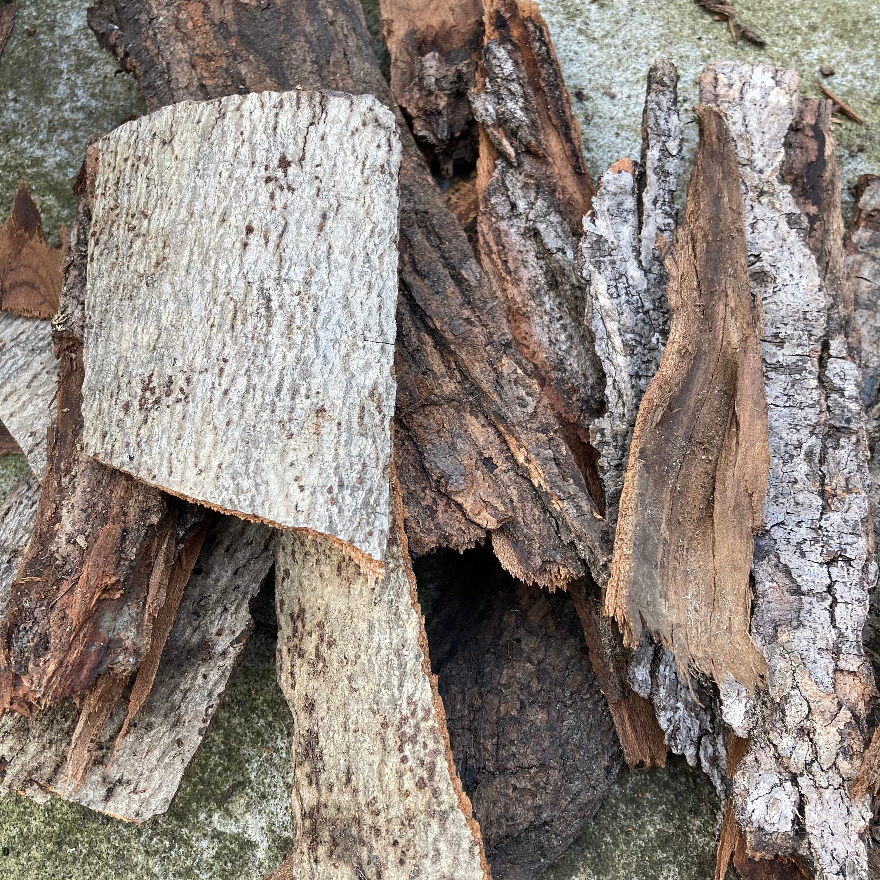 Hardwood Tree Bark | Fairy Garden Decor | Terrarium Bark | Dried Tree ...