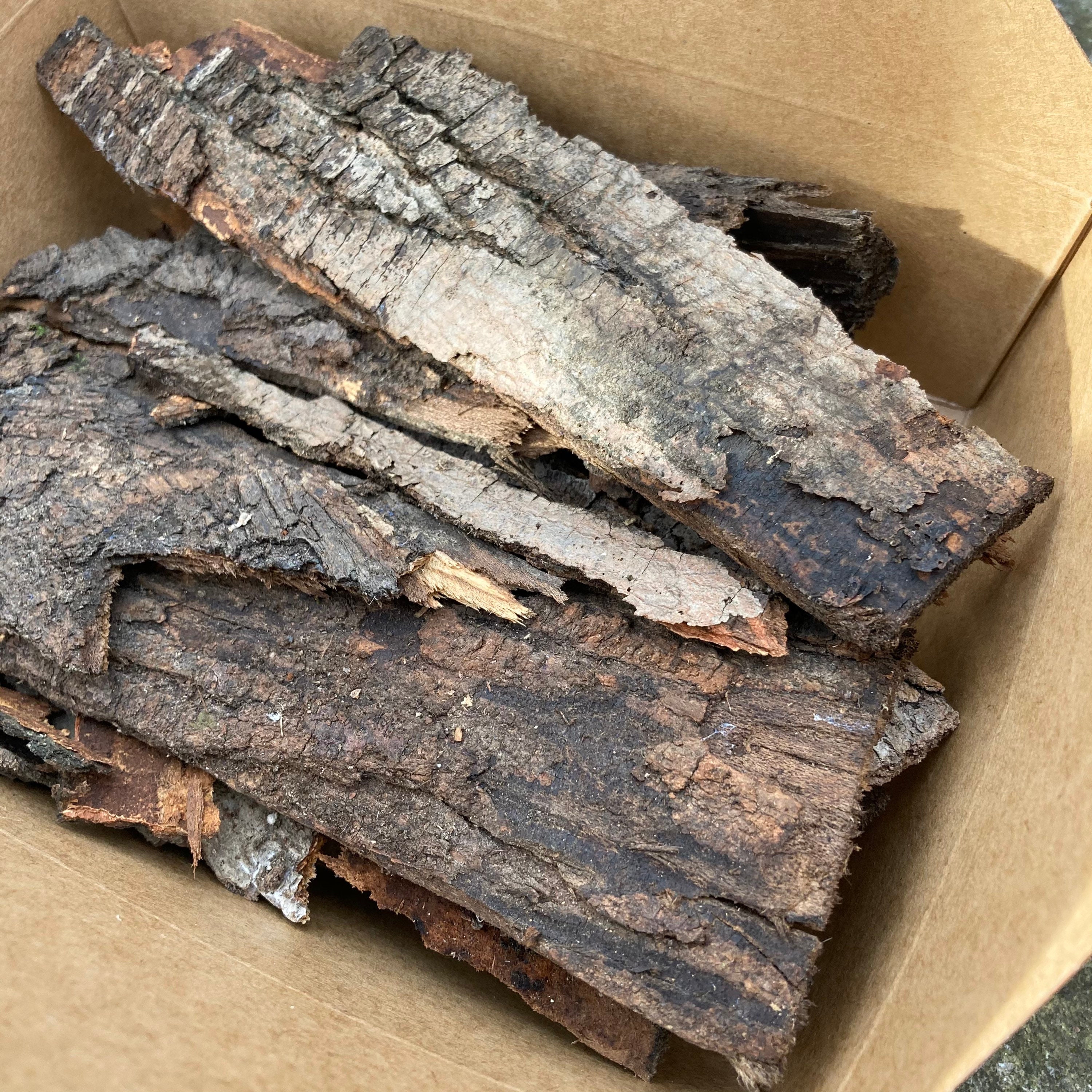 Hardwood Tree Bark | Fairy Garden Decor | Terrarium Bark | Dried Tree ...