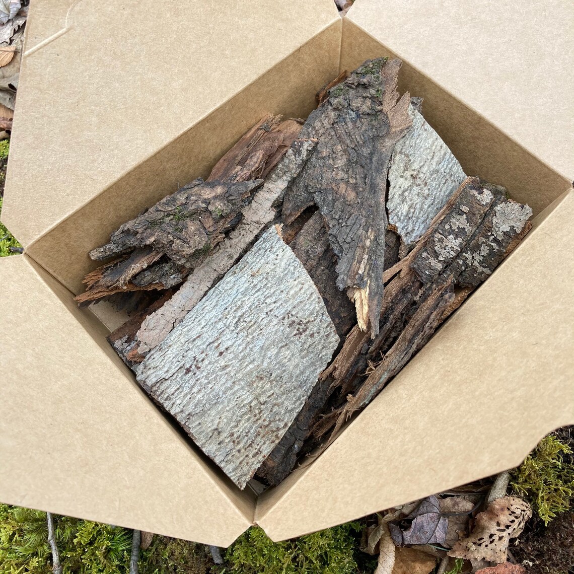 Hardwood Tree Bark | Fairy Garden Decor | Terrarium Bark | Dried Tree ...