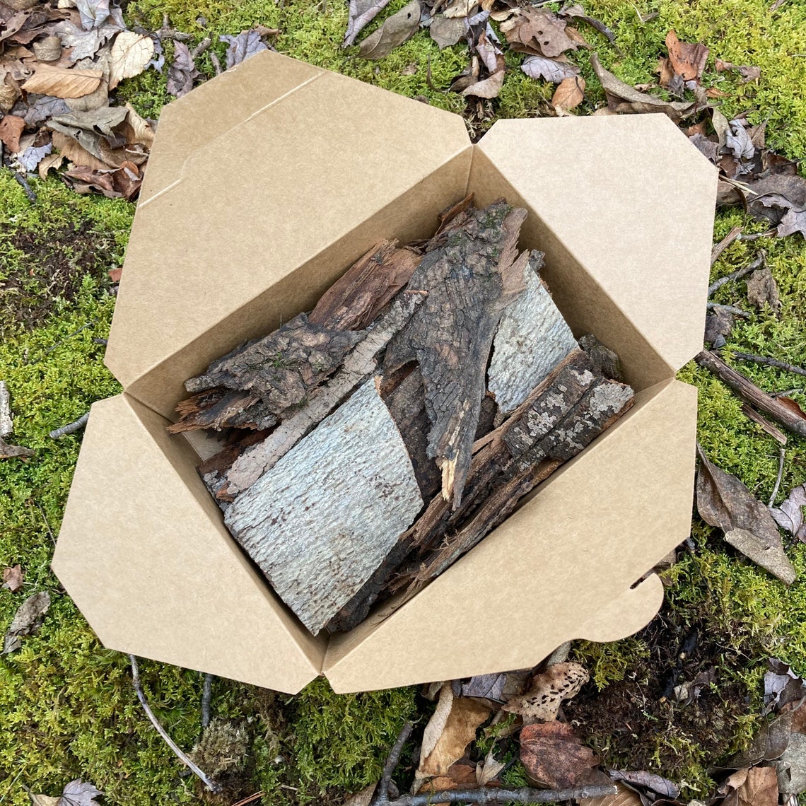 Hardwood Tree Bark | Fairy Garden Decor | Terrarium Bark | Dried Tree ...