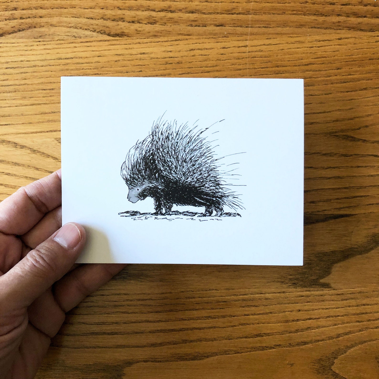 Porcupine Card, White Background, Porcupine Art Stationery - Etsy