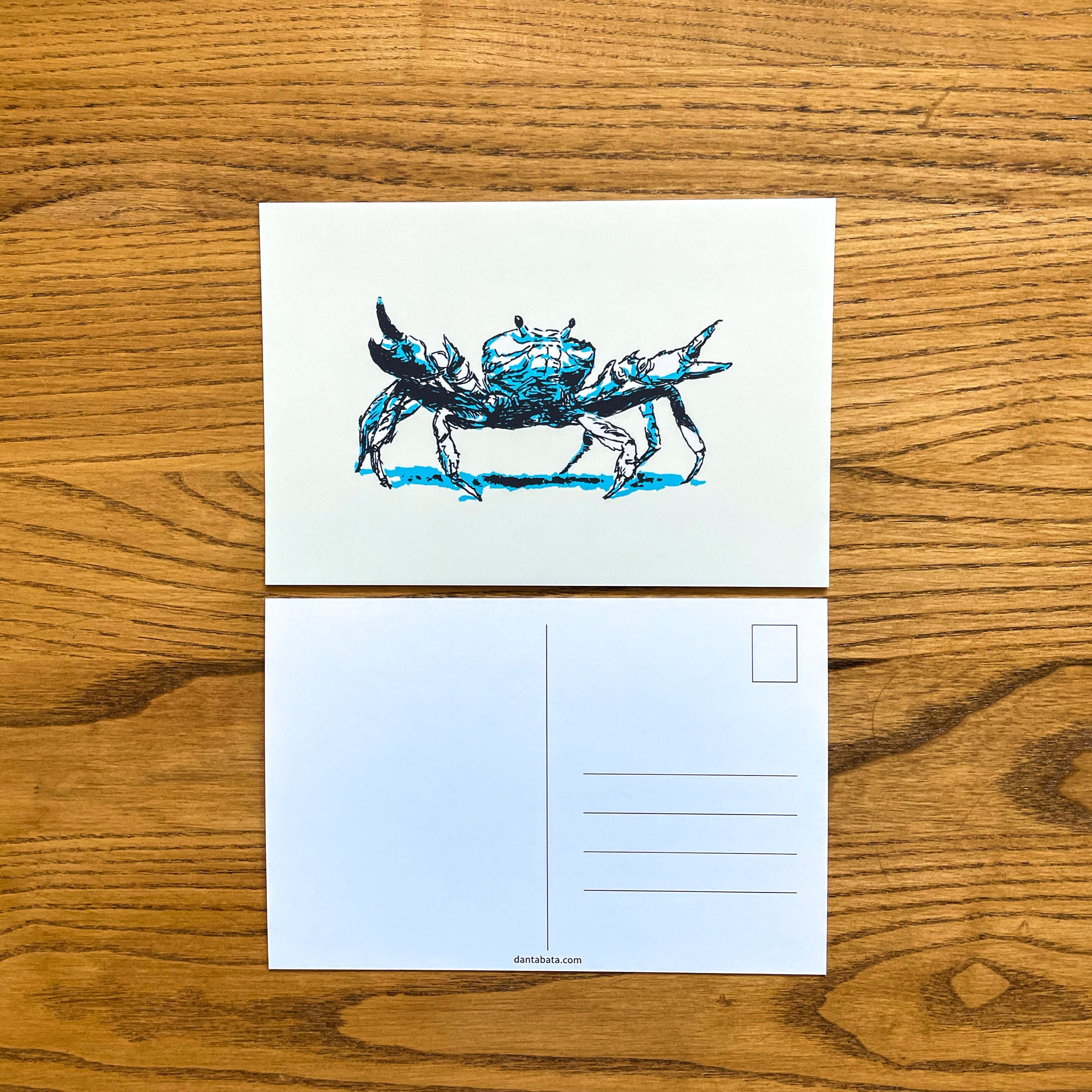 15 Animal Postcard Set B 4x6 Animal Illustration small | Etsy