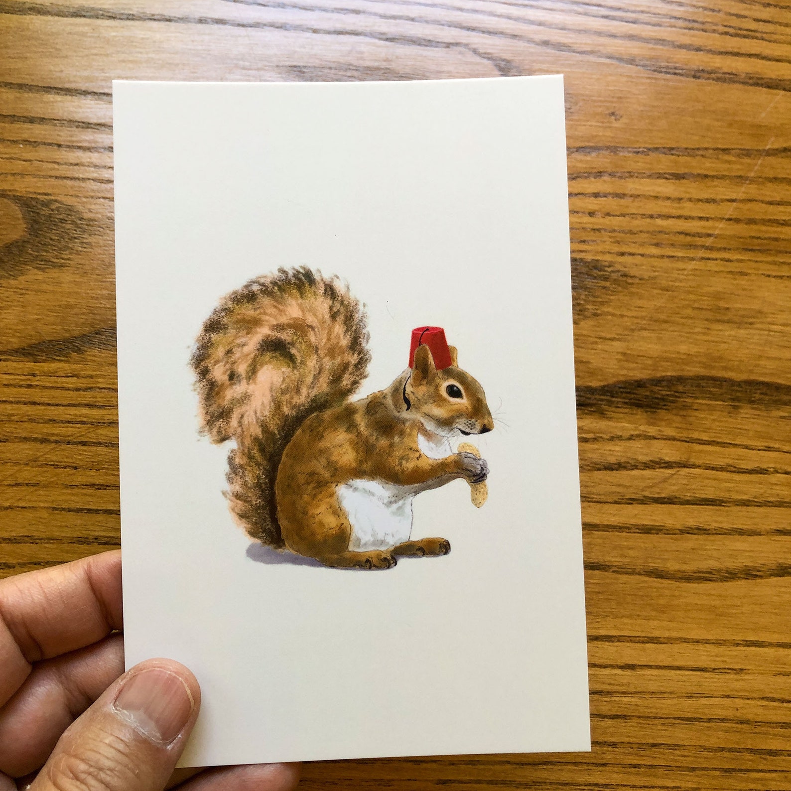 Fez Hat Animal Postcards, 4x6 Animal Illustration, Small Prints ...