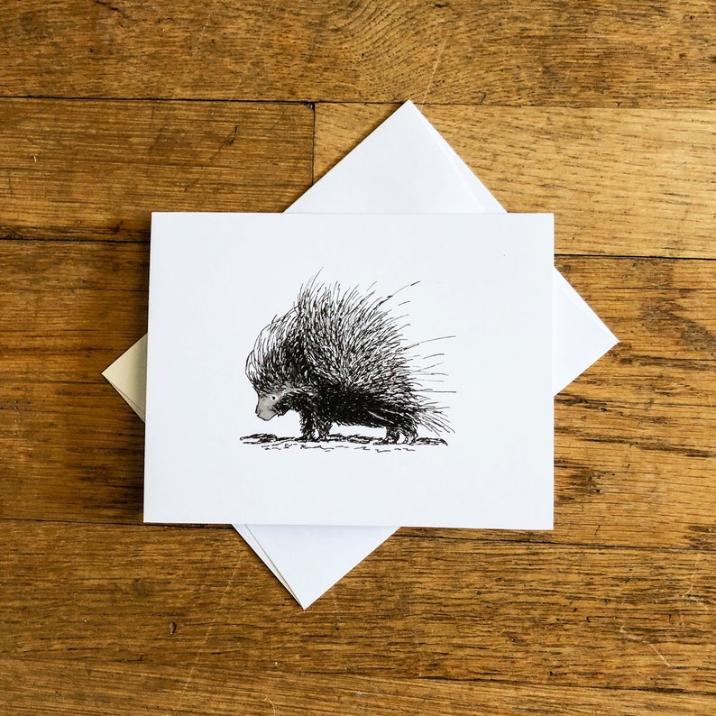 Porcupine Card, White Background, Porcupine Art Stationery - Etsy