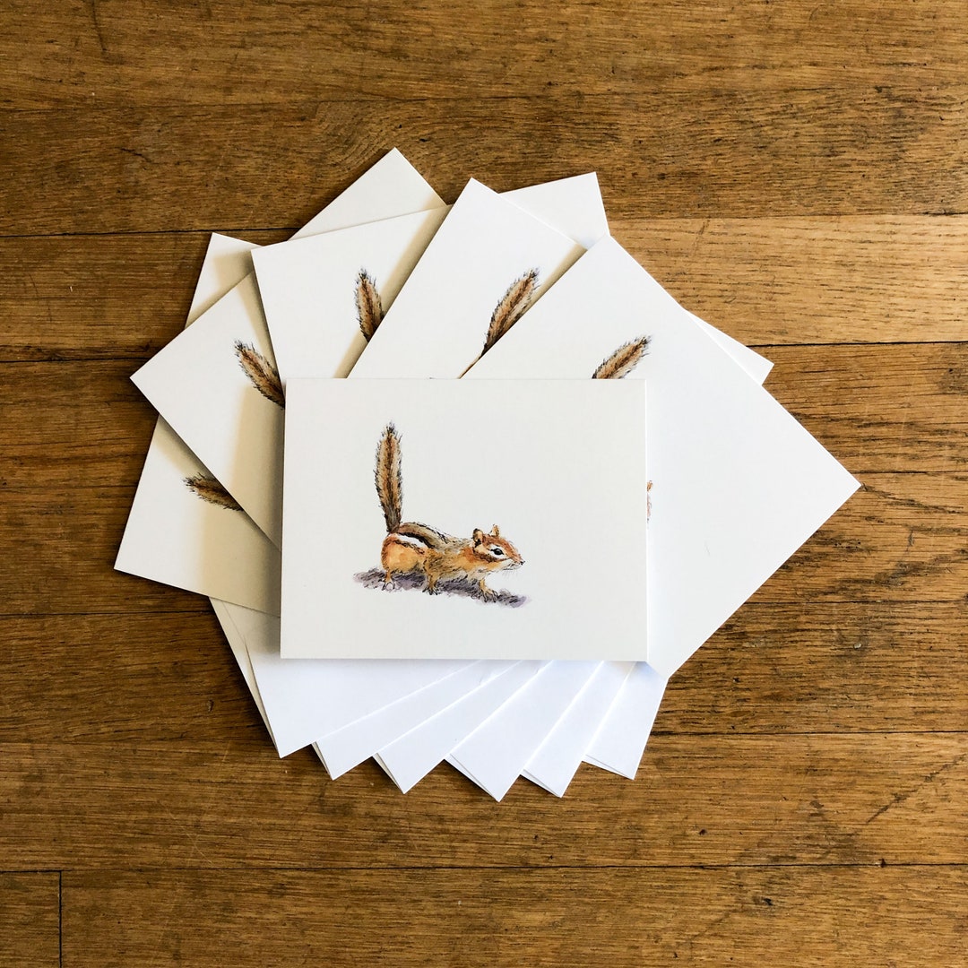 Curious Chipmunk Card Boxed Set, Chipmunk Art Stationery Gift Set - Etsy