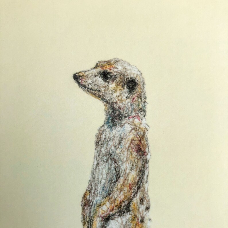 Meerkat, Art Print 5x7 Animal Illustration, Home Wall Decor - Etsy