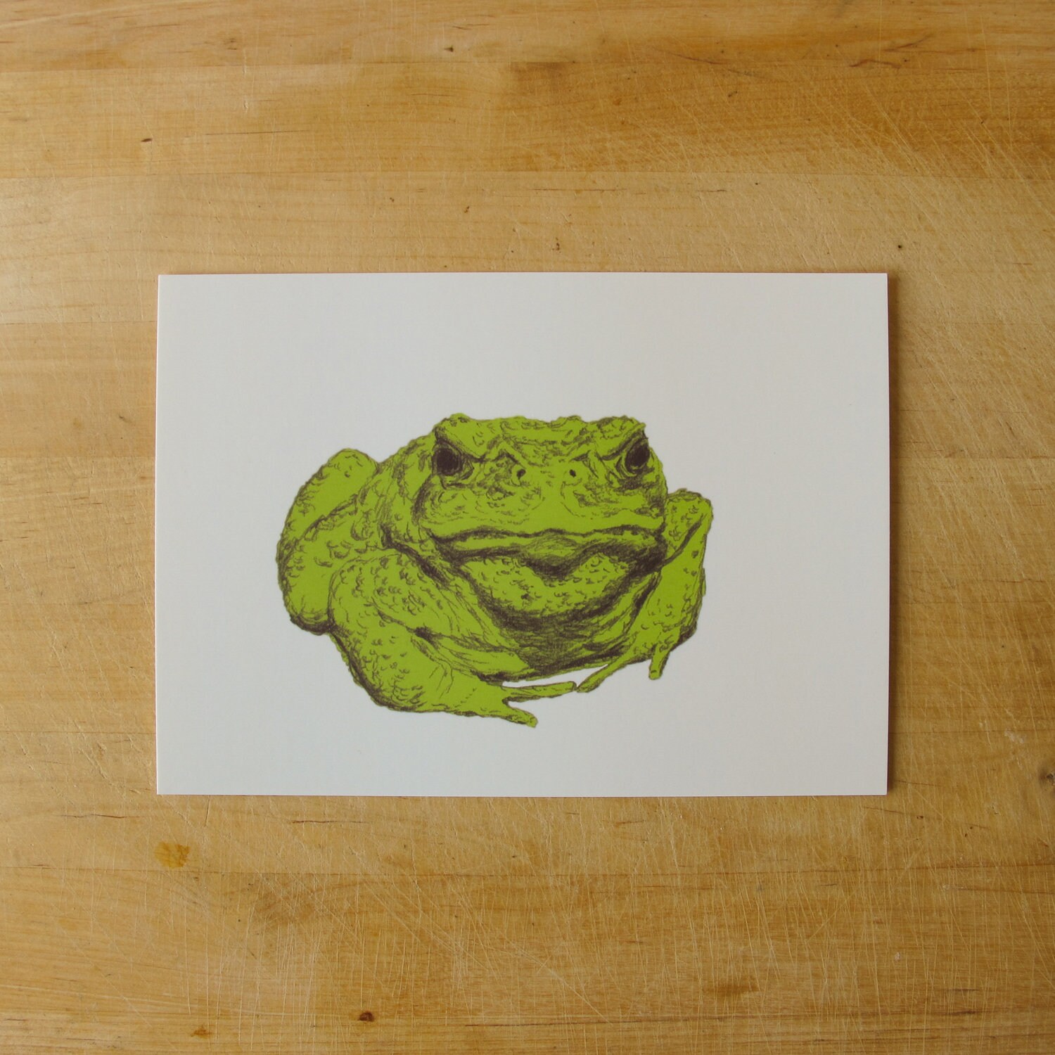 Toad Face Art Print 5x7 Whimsical Animal Illustration Home - Etsy