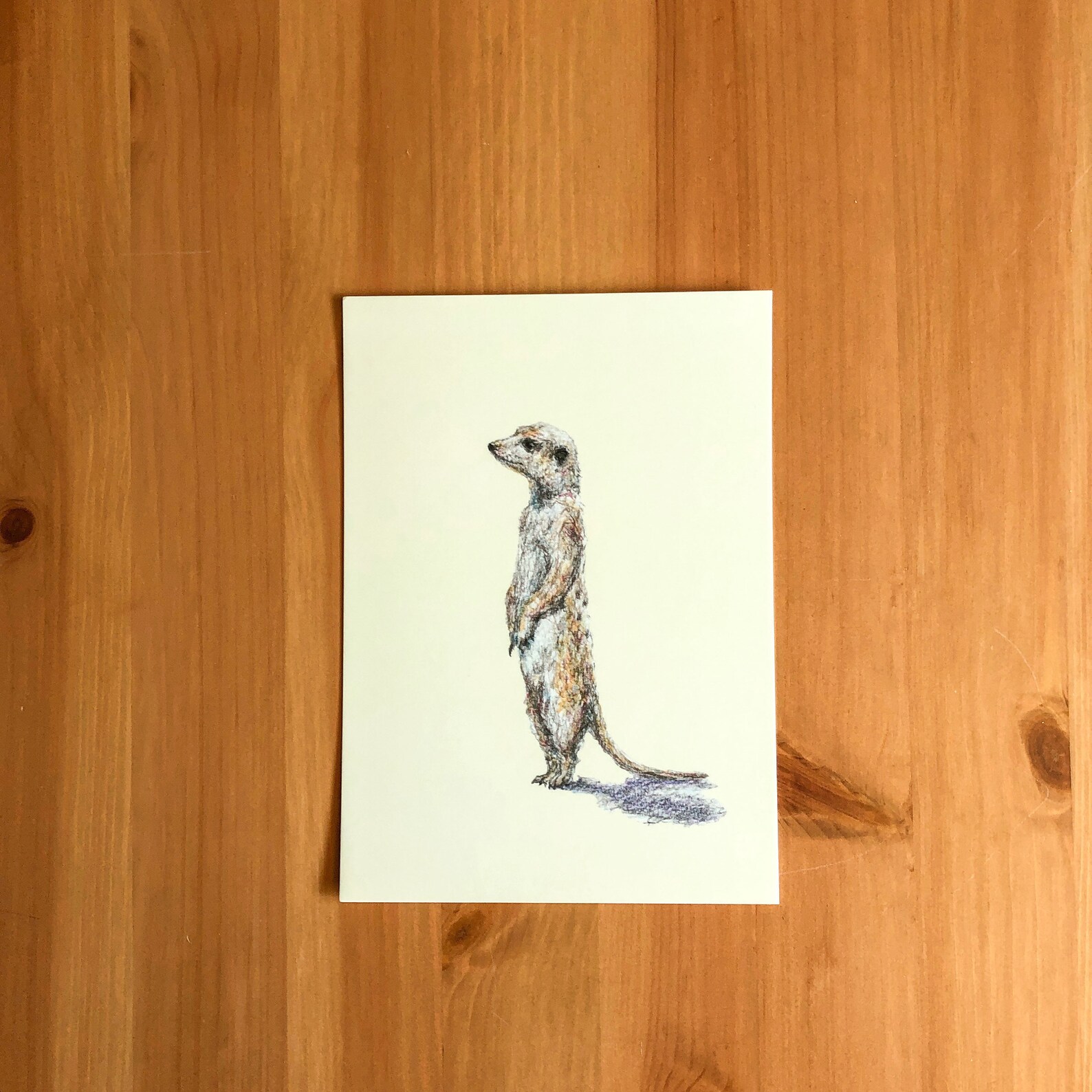 Meerkat, Art Print 5x7 Animal Illustration, Home Wall Decor - Etsy