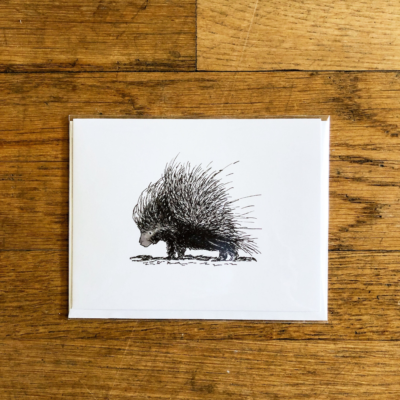 Porcupine Card, White Background, Porcupine Art Stationery - Etsy
