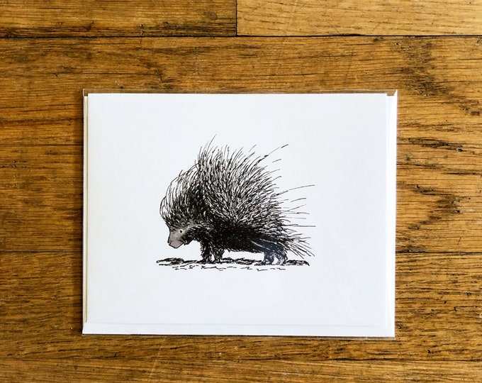 Porcupine Card, White Background, Porcupine Art Stationery - Etsy