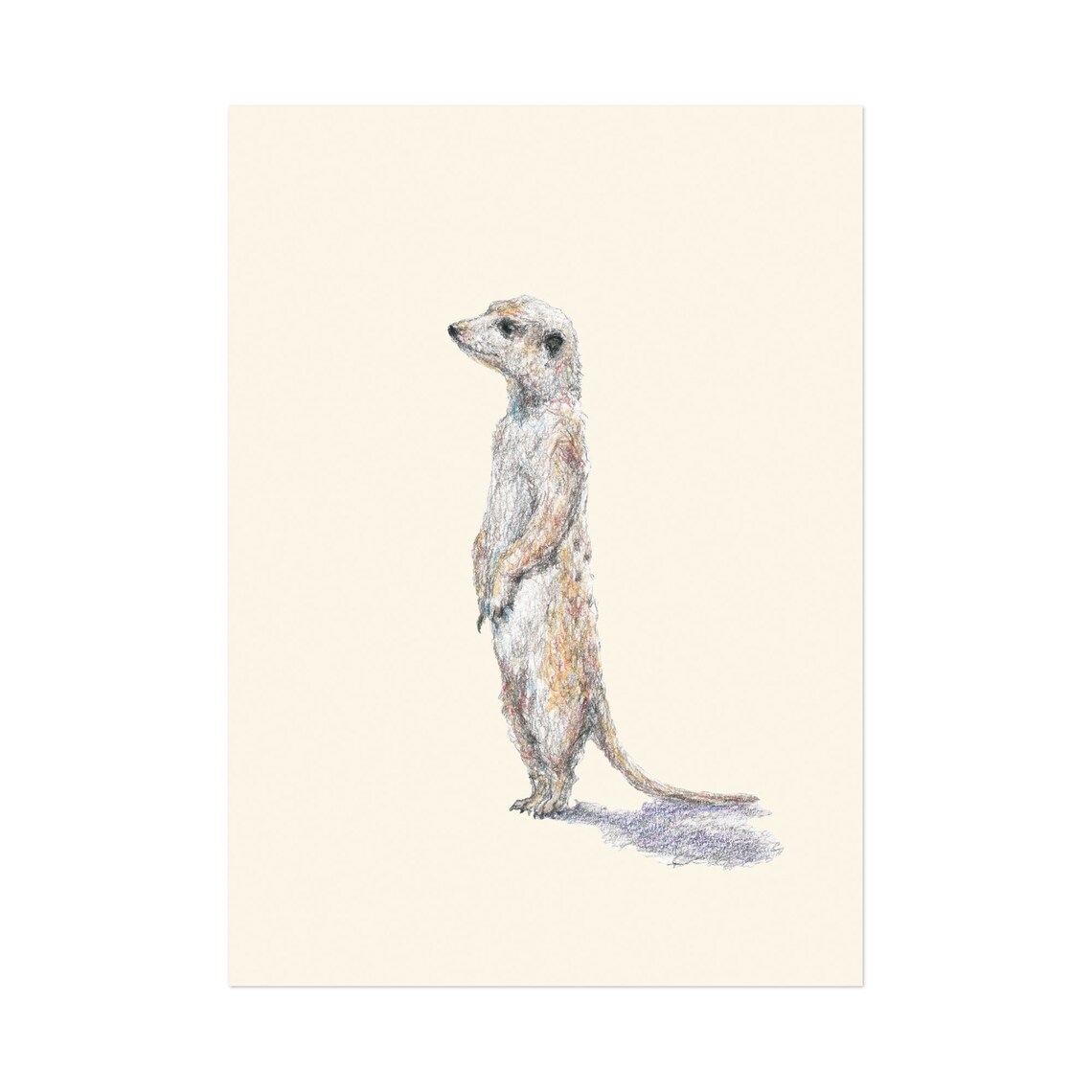 Meerkat, Art Print 5x7 Animal Illustration, Home Wall Decor - Etsy