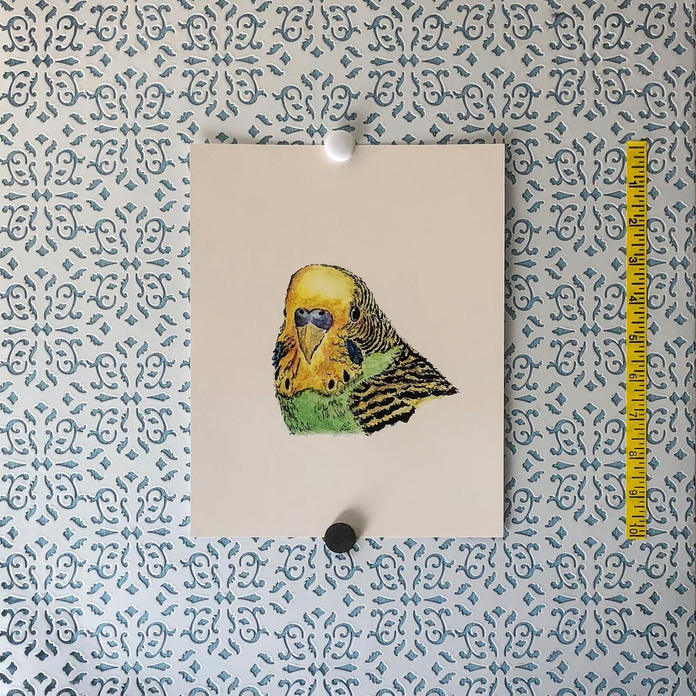 Parakeet 8x10 Unframed Bird Art Print Animal Watercolor Illustration ...
