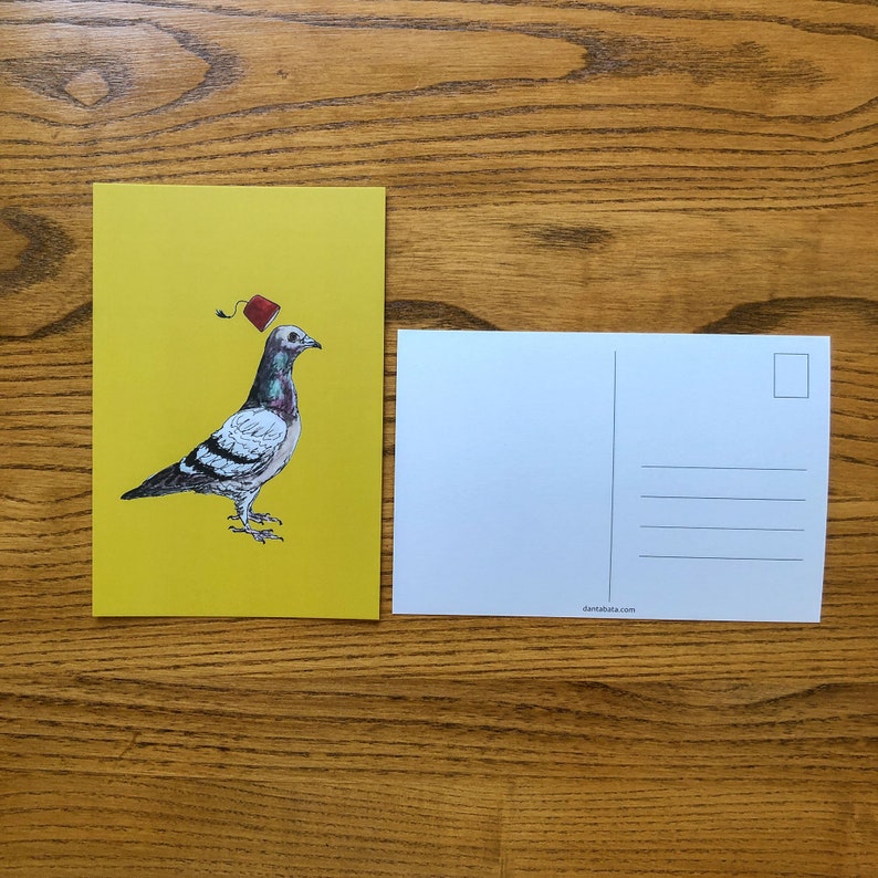 Fez Hat Animal Postcards 4x6 Animal Illustration Small - Etsy