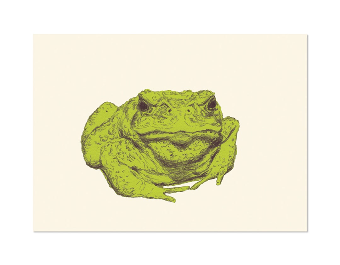 Toad Face, Art Print 5x7 Whimsical Animal Illustration, Home Wall Decor ...