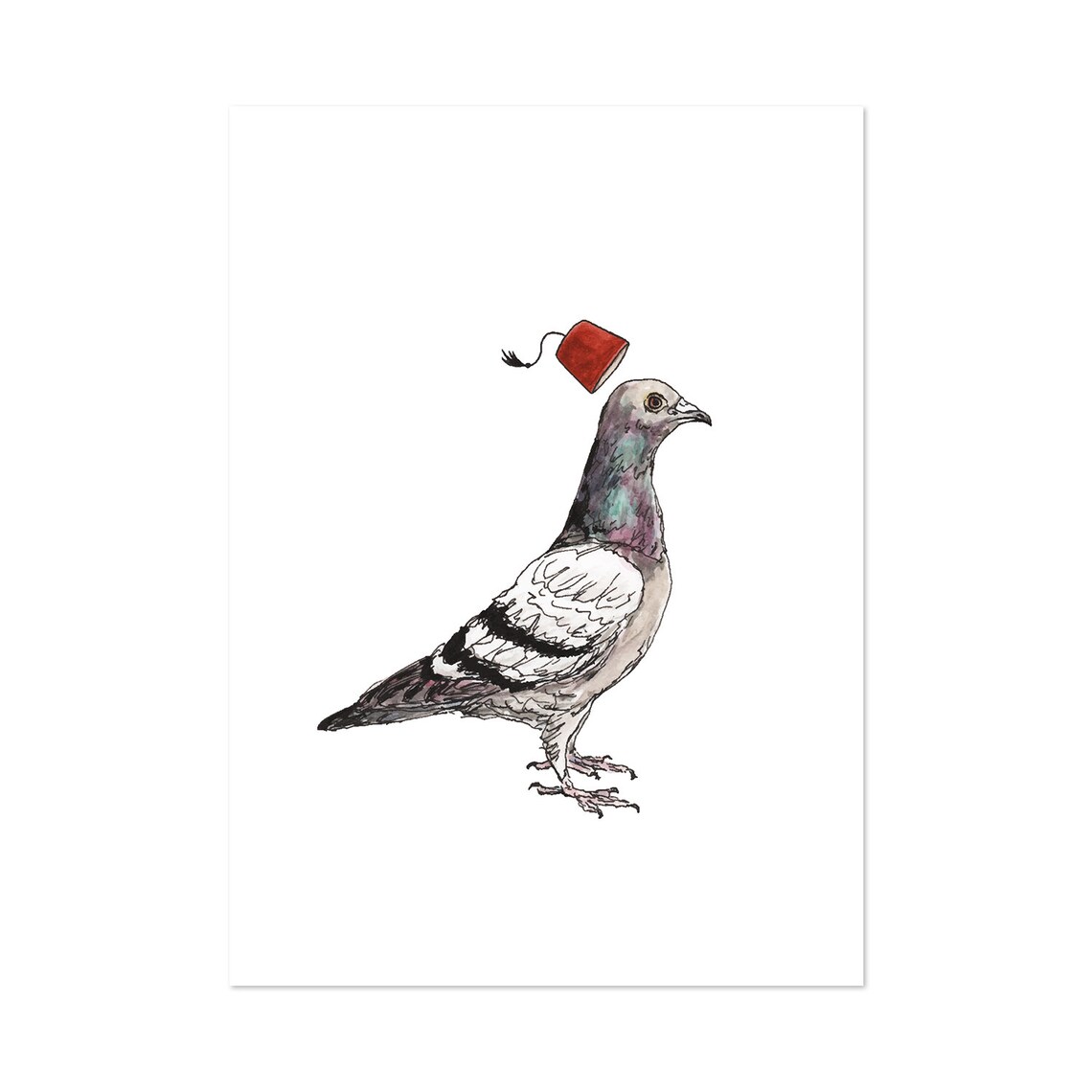 Unflappable Pigeon Bright White Fez Bird Art Print 5x7 | Etsy