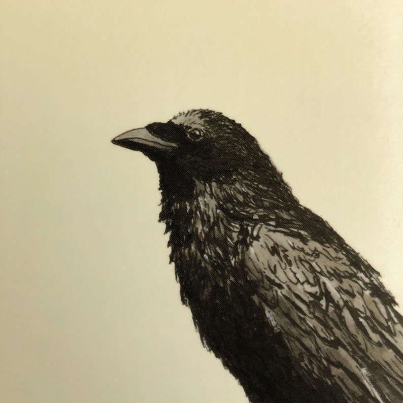 Raven M Art Print 5x7 Animal Illustration Home Wall Decor | Etsy